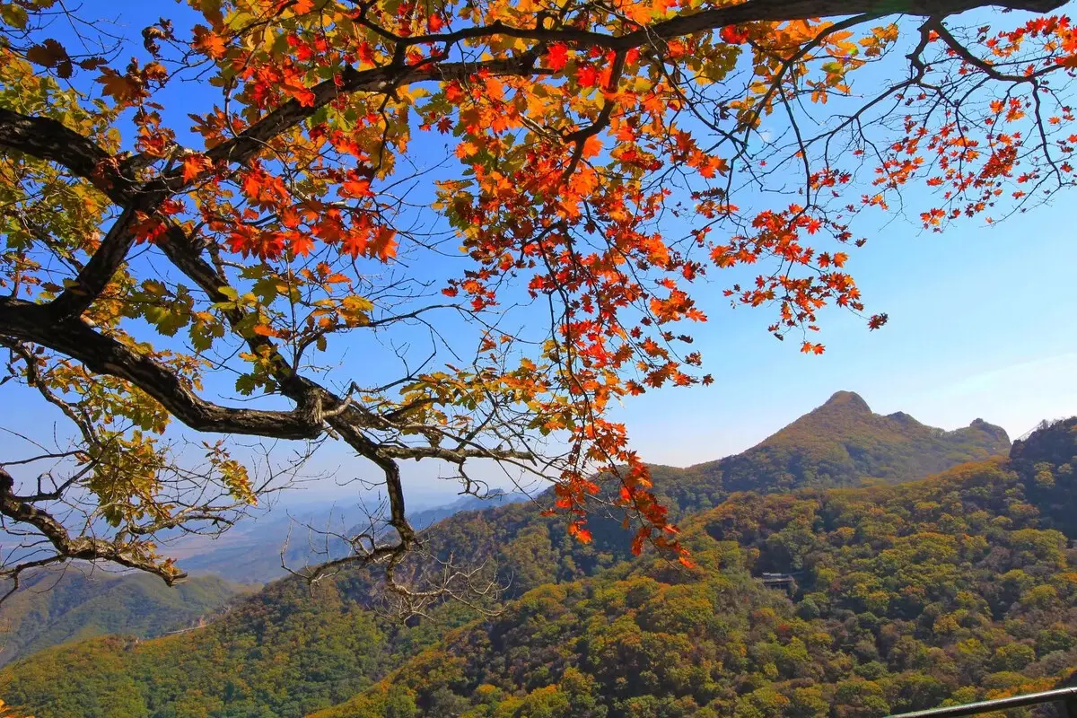 Qianshan Mountain 千山 - WentChina