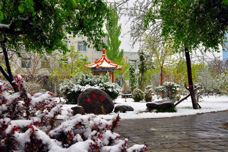 Yulin University 2024 Enrollment Brochure For International Students 榆林 ...