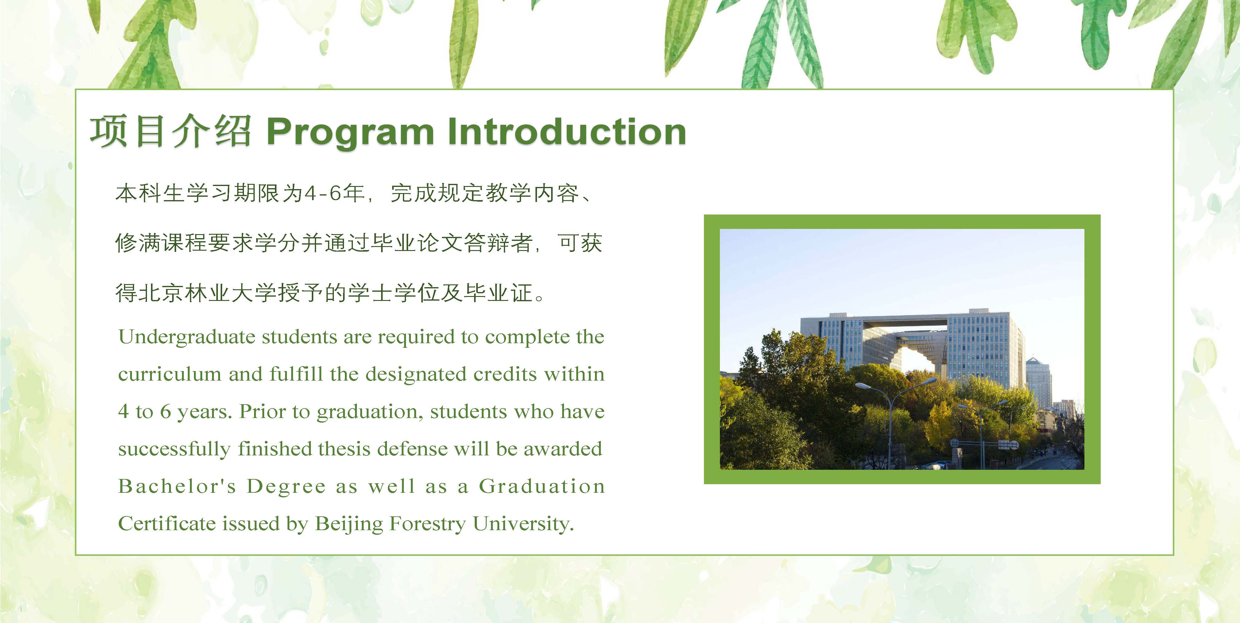 Study Bachelor In Beijing Forestry University 北京林业大学本科项目招生简章（2020年） - WentChina
